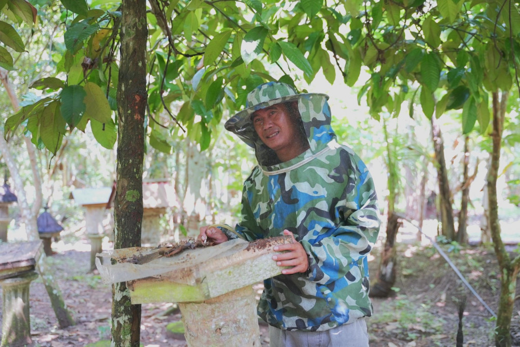 Berkunjung ke D’Cupliz Bee Farm, Tempat Budidaya Madu Kele-kele di Desa ...