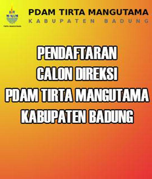 Pengumuman Pendaftaran Calon Direksi PDAM Tirta Mangutama Kabupaten ...